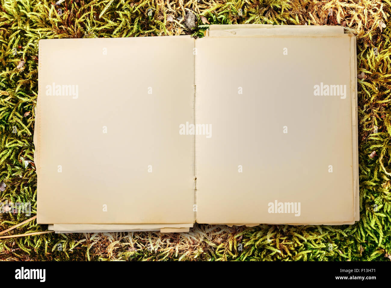 Old blank notebook open on colorful background Stock Photo - Alamy