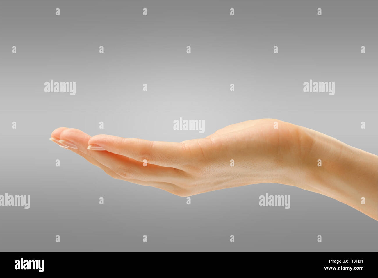 Empty female hand in closeup holding gesture Stock Photo - Alamy