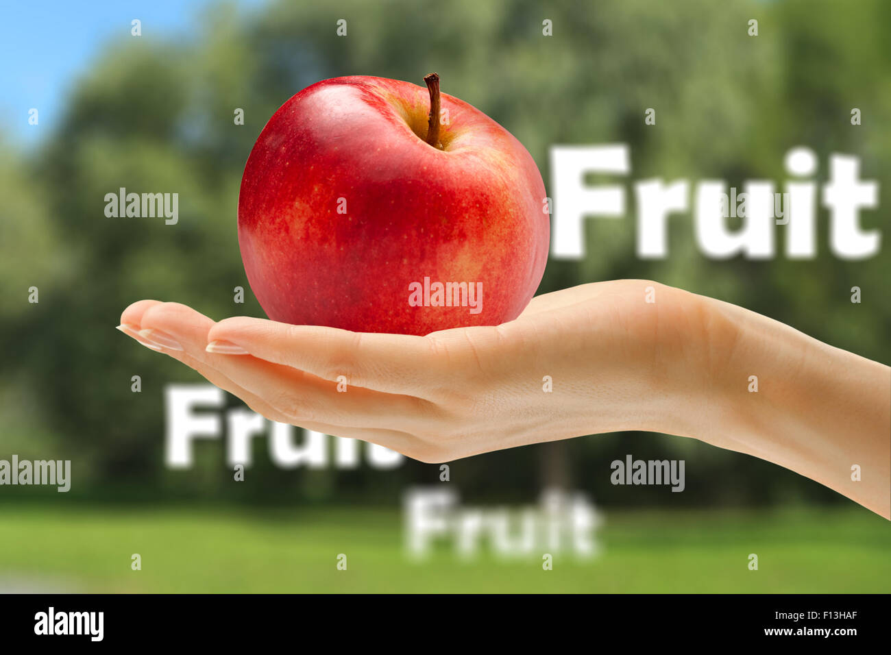Female hand in closeup holding red apple Stock Photo - Alamy
