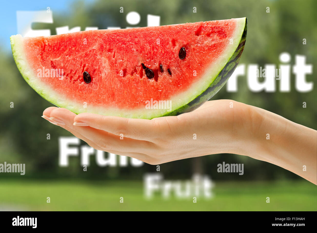 Female hand in closeup holding slice of watermelon Stock Photo - Alamy