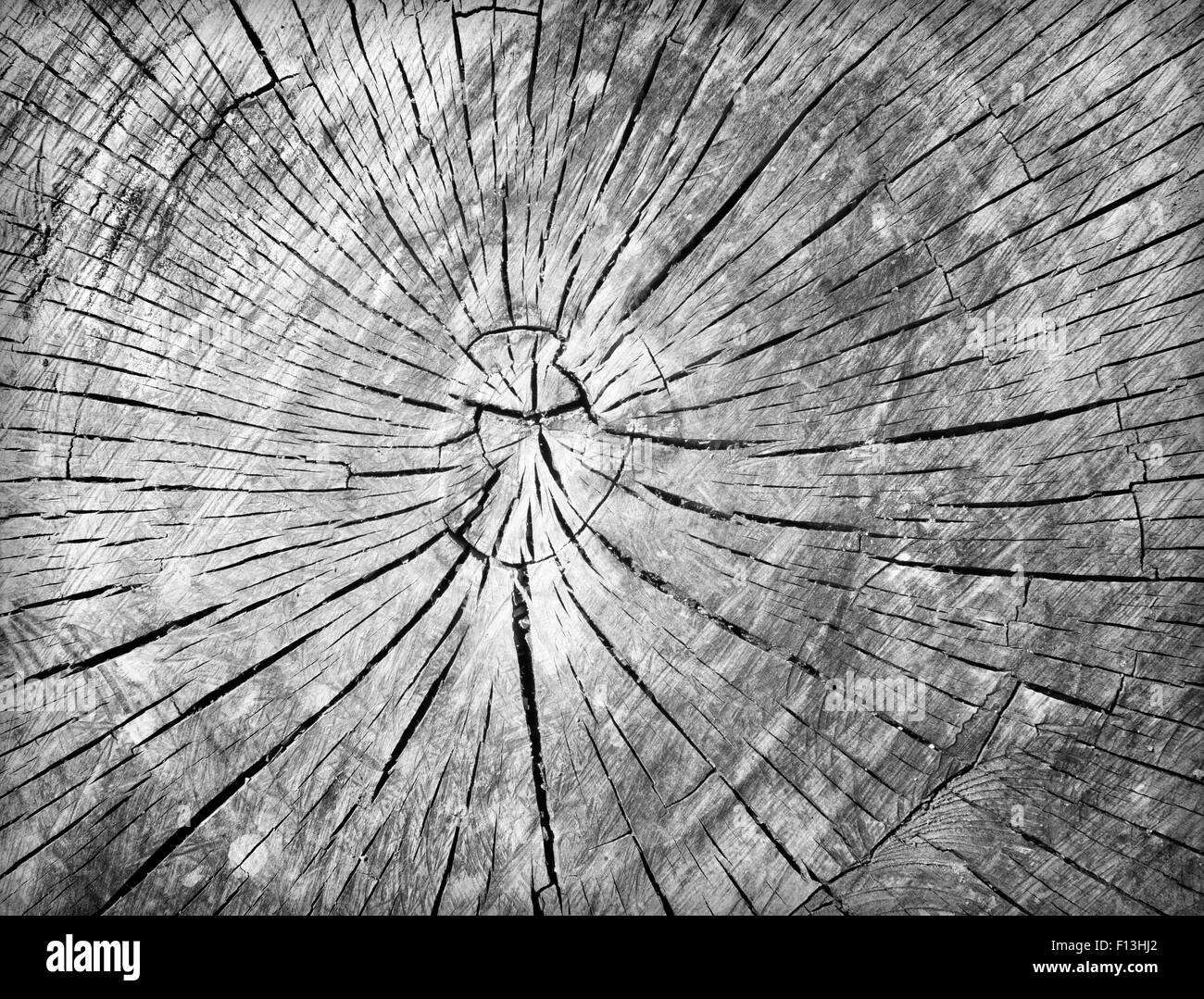 Cracked wood hi-res stock photography and images - Alamy
