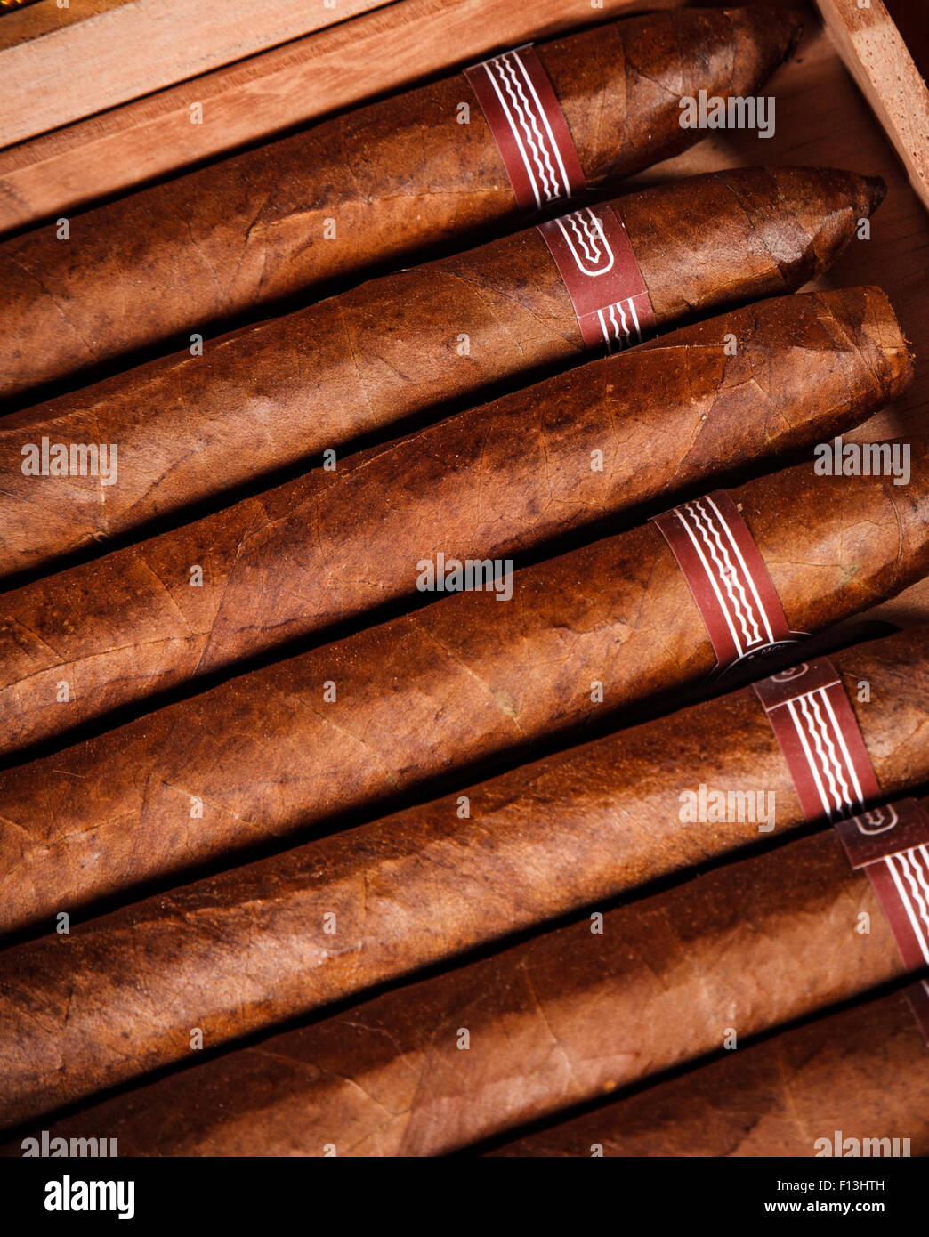 Close up of cigars in open humidor box Stock Photo - Alamy