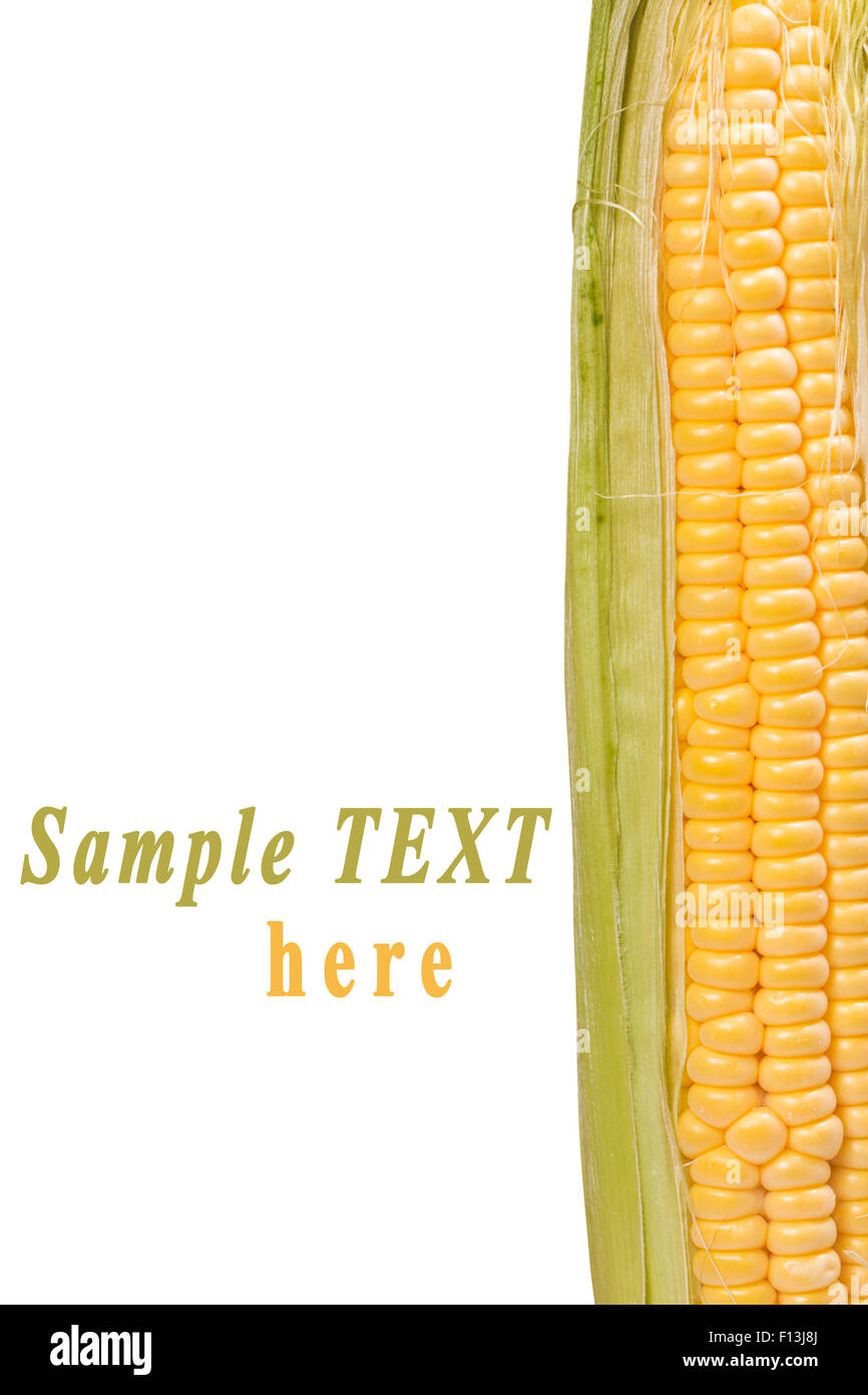 Grains of ripe corn close up isolated on white background, top view ...