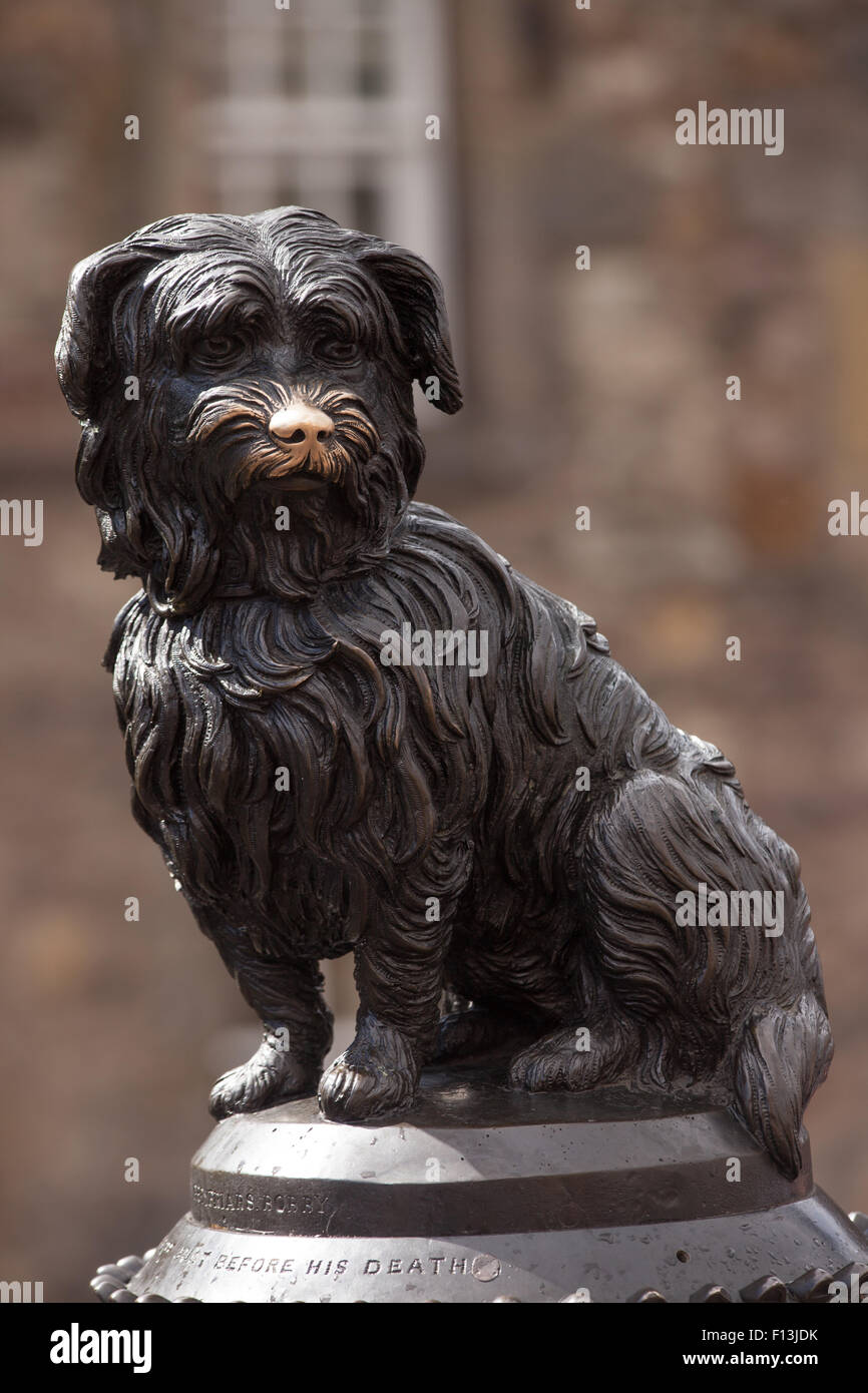 The statue of Greyfriars Bobby, Edinburgh Stock Photo - Alamy