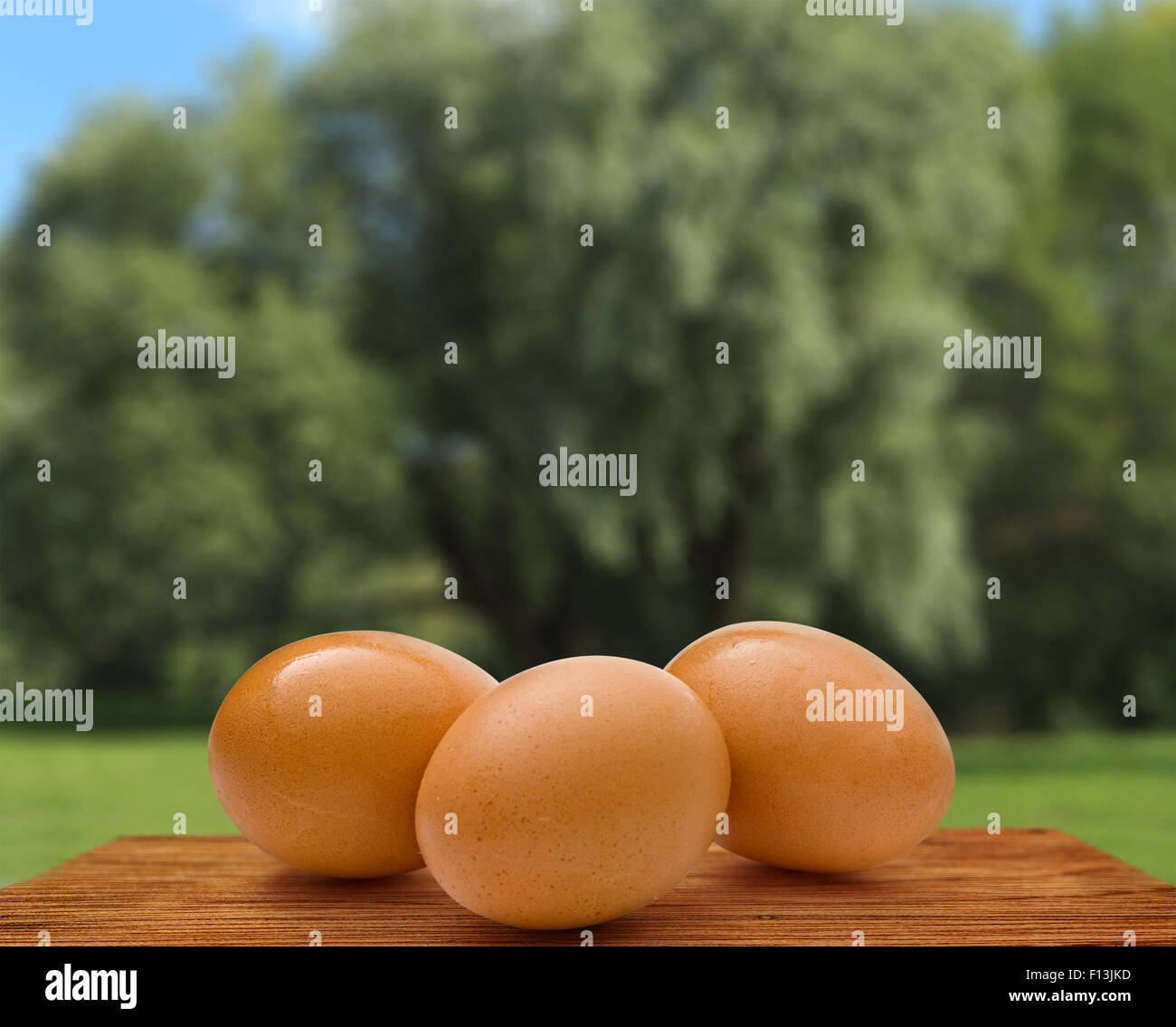 Three whole eggs on nature background closeup Stock Photo - Alamy