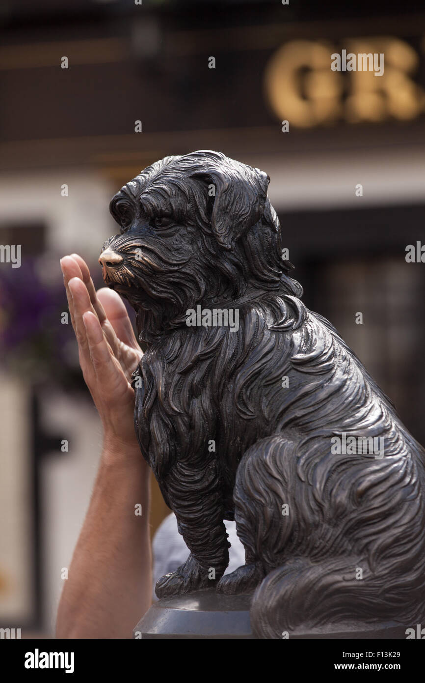 A hand about to touch the nose of the statue of Greyfriars Bobby ...
