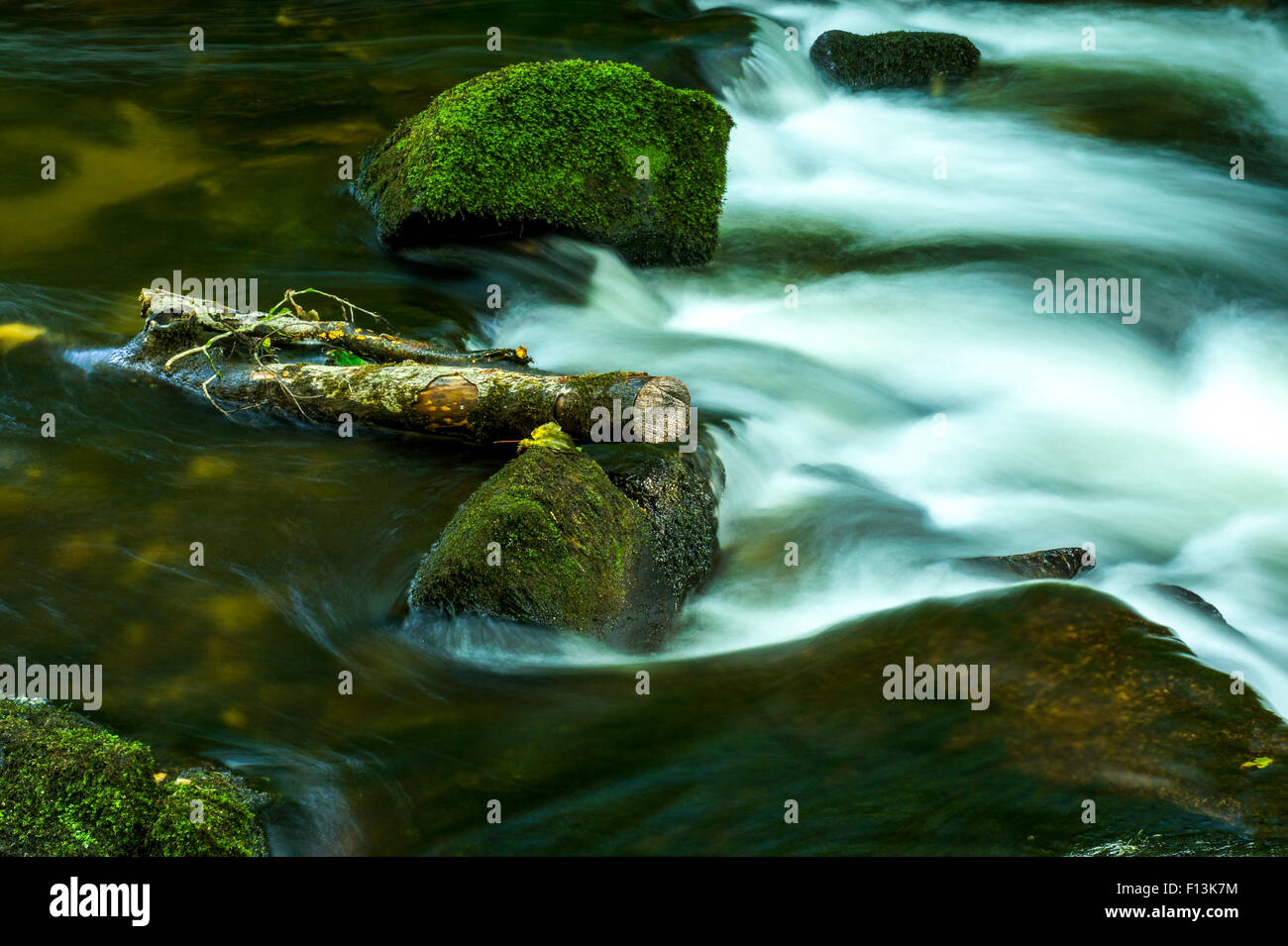 Illustration deforestation tree stump hi-res stock photography and ...