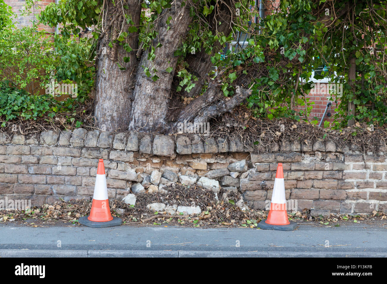 Collapsed stone wall due to the growth of a tree, Nottinghamshire ...