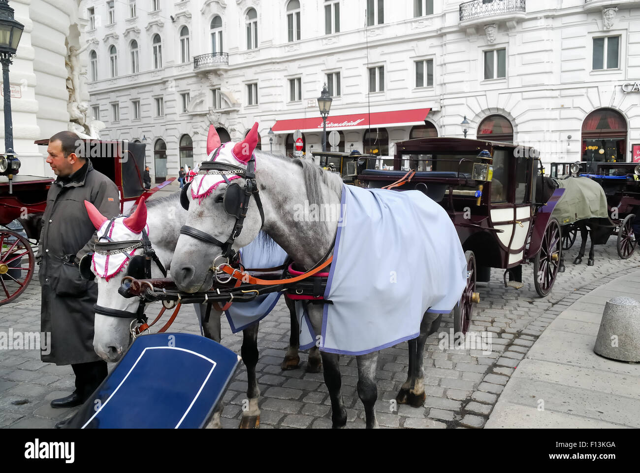 Vienna, a fiacre. The fiacre is the tipical Viennese cab Stock Photo ...