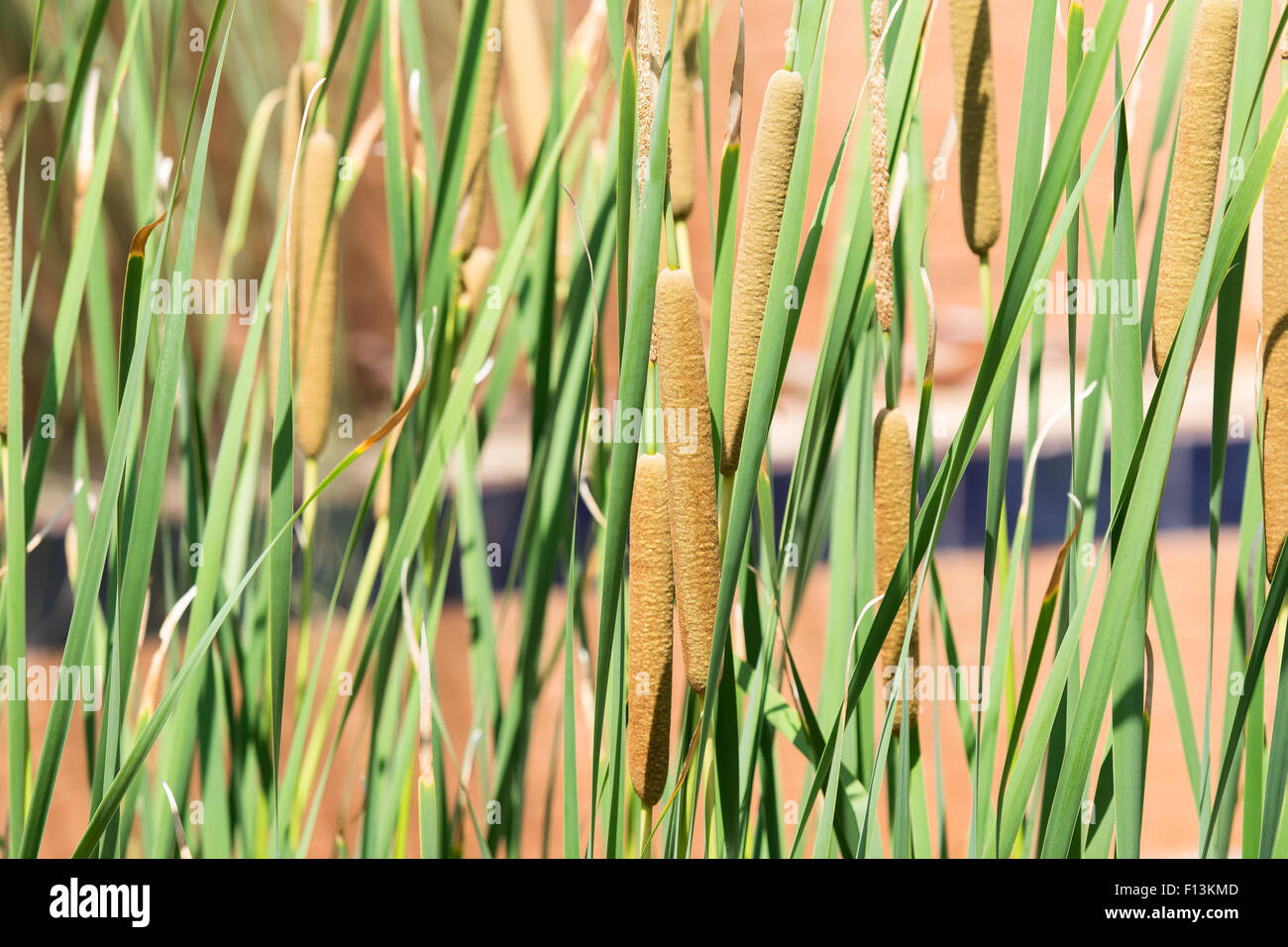 Closeup colors hi-res stock photography and images - Alamy