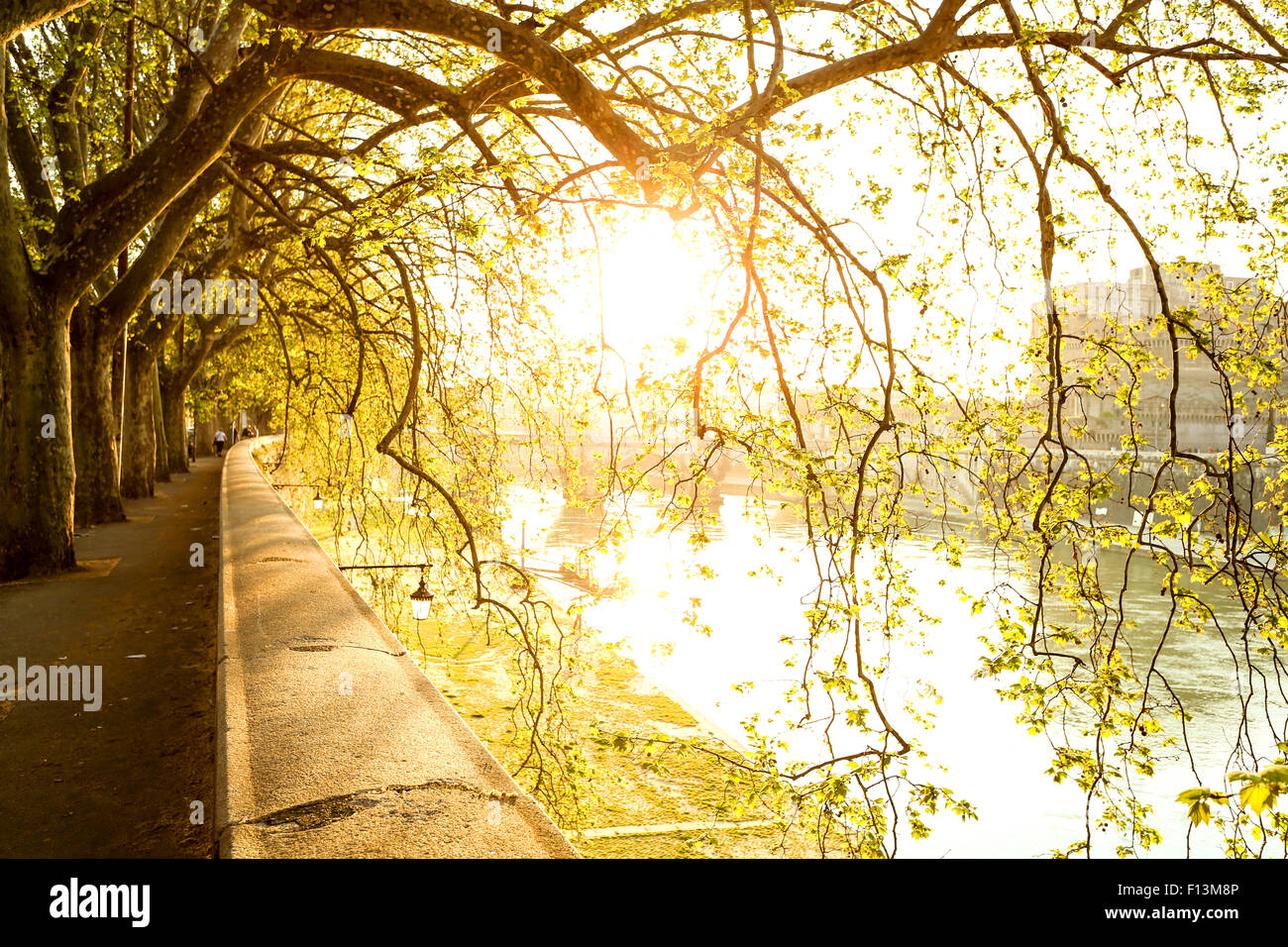 A sunset illuminating the River Tiber in Rome as seen through flowering ...