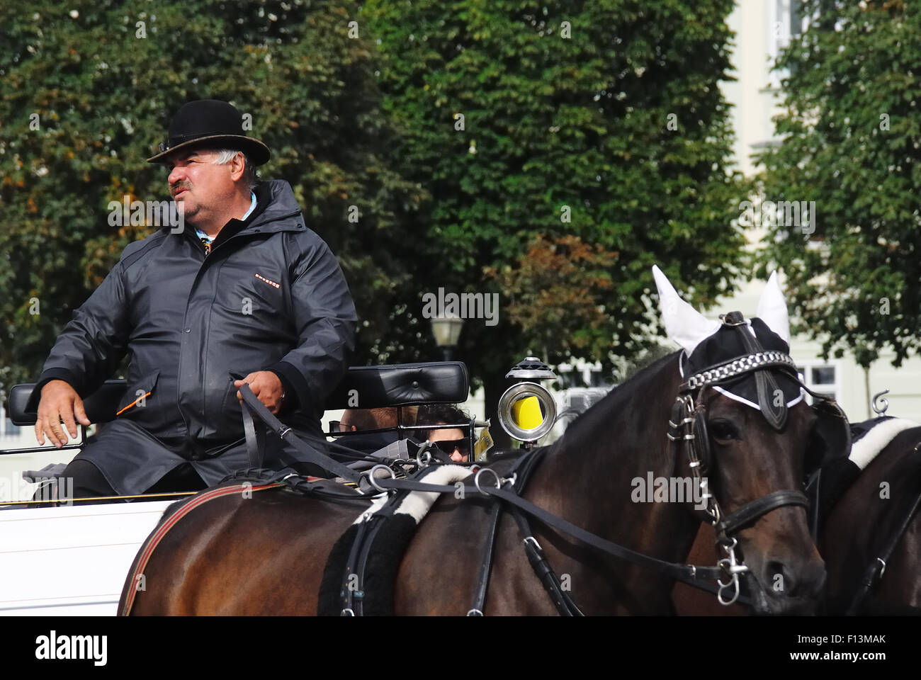 Vienna, a fiacre. The fiacre is the tipical Viennese cab. A coachman ...