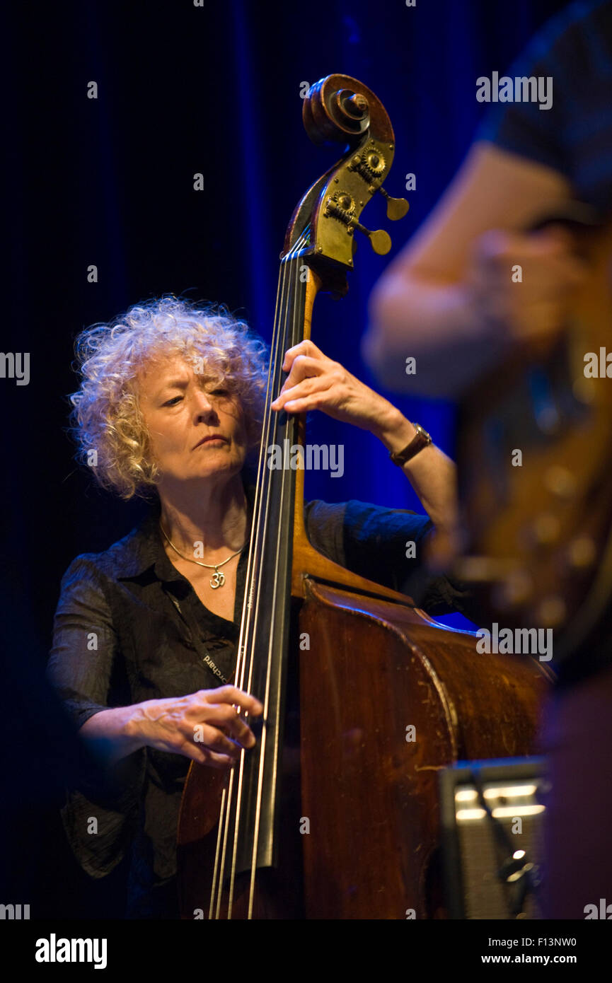 Bass player with Deirdre Cartwright Band & Friends performing on stage ...