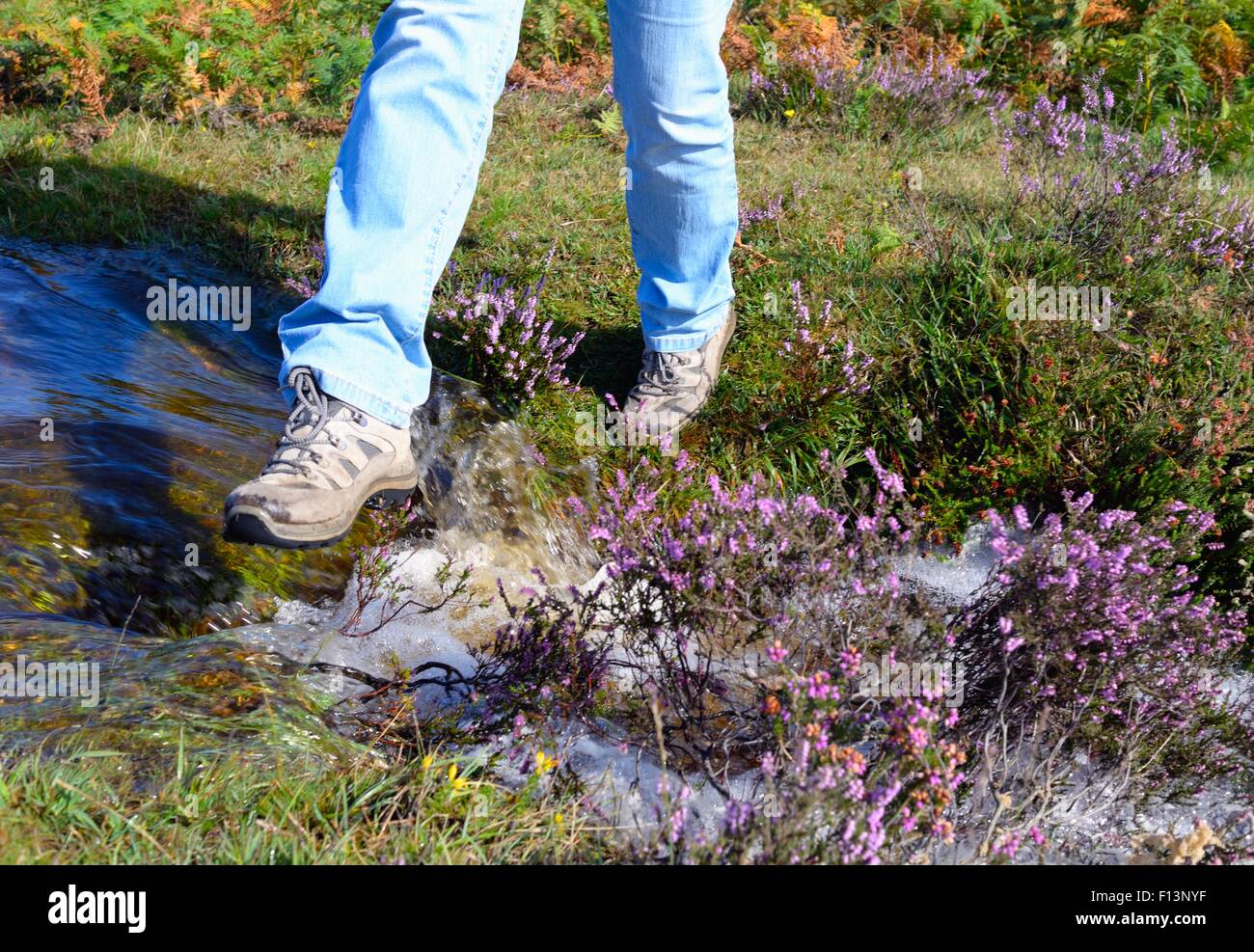 Stepping stream uk hi-res stock photography and images - Alamy