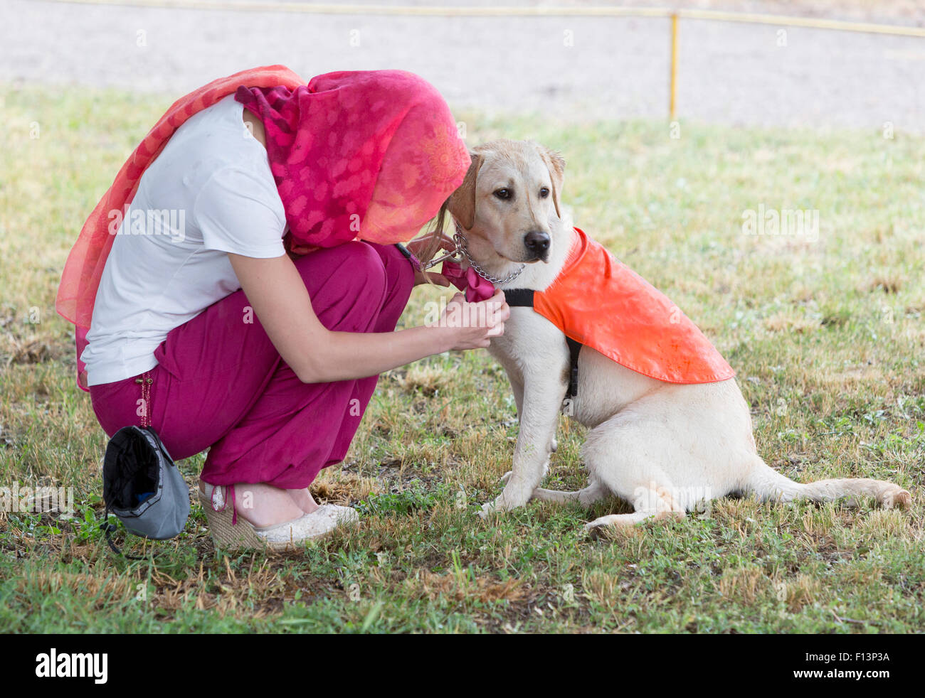 A trainer is standing beside a golden retriever guide dog during the ...