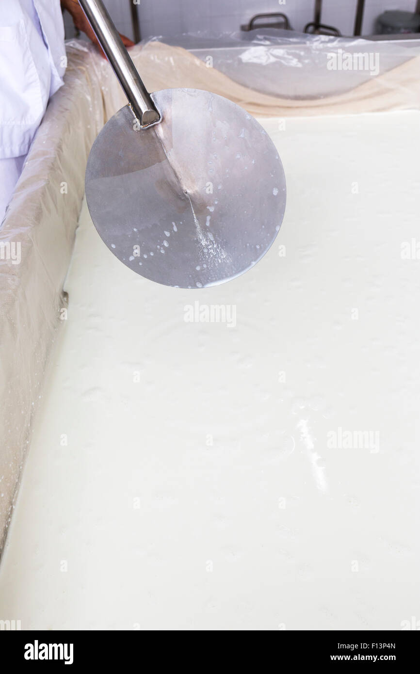 A woman working in a small family creamery is showing the process of ...