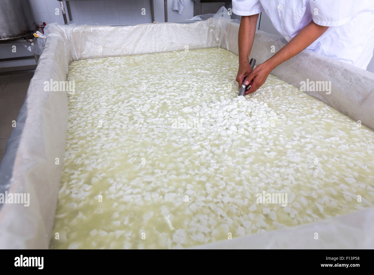 A woman working over a tankl in a small family creamery is mixing a ...