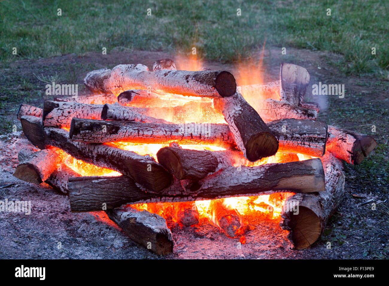Bonfire in the forest during night at the summertime Stock Photo - Alamy