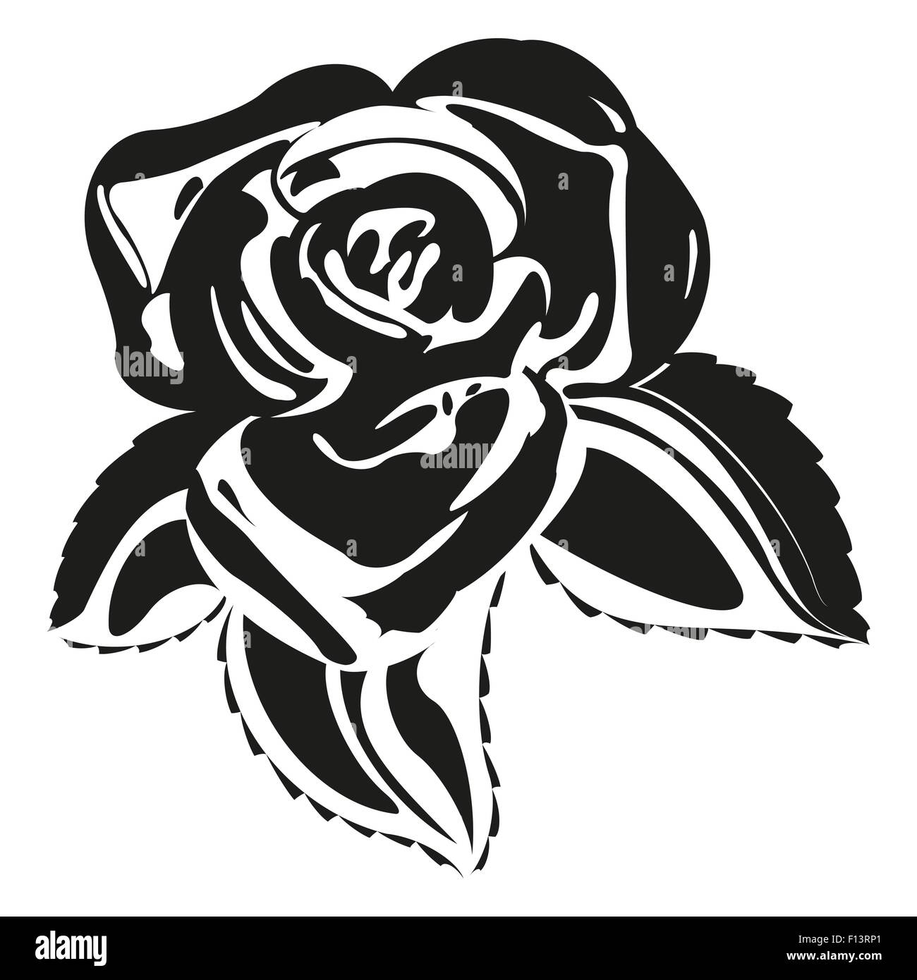 Drawing of a rose Cut Out Stock Images & Pictures - Alamy