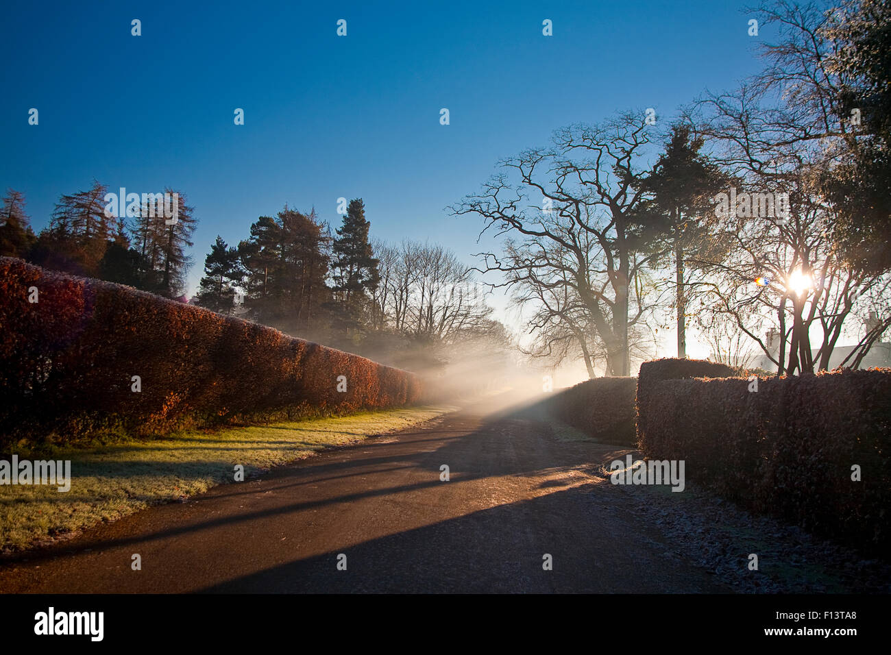 Kent Countryside Uk Winter High Resolution Stock Photography and Images ...