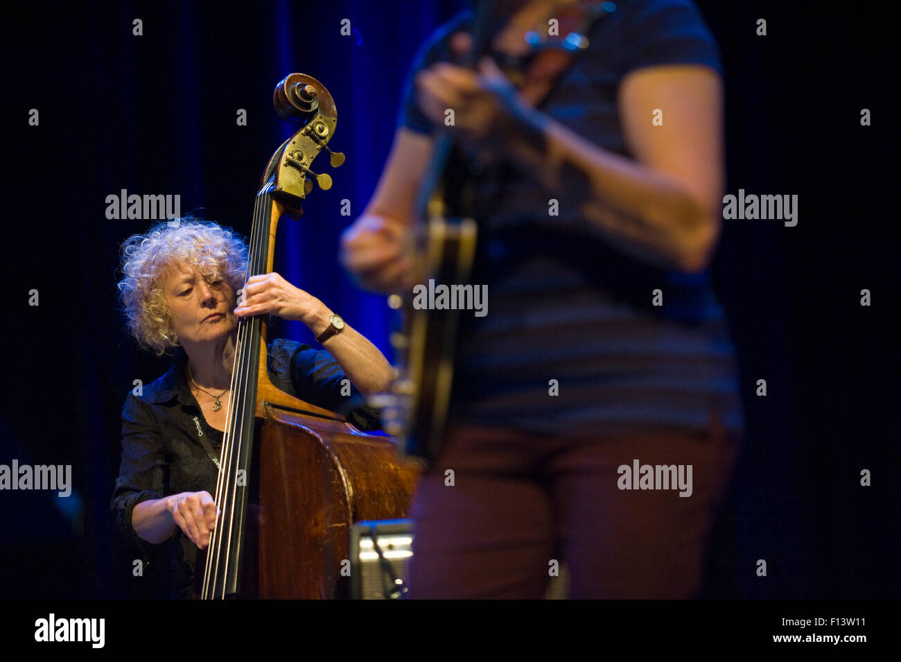 Bass player with Deirdre Cartwright Band & Friends performing on stage ...