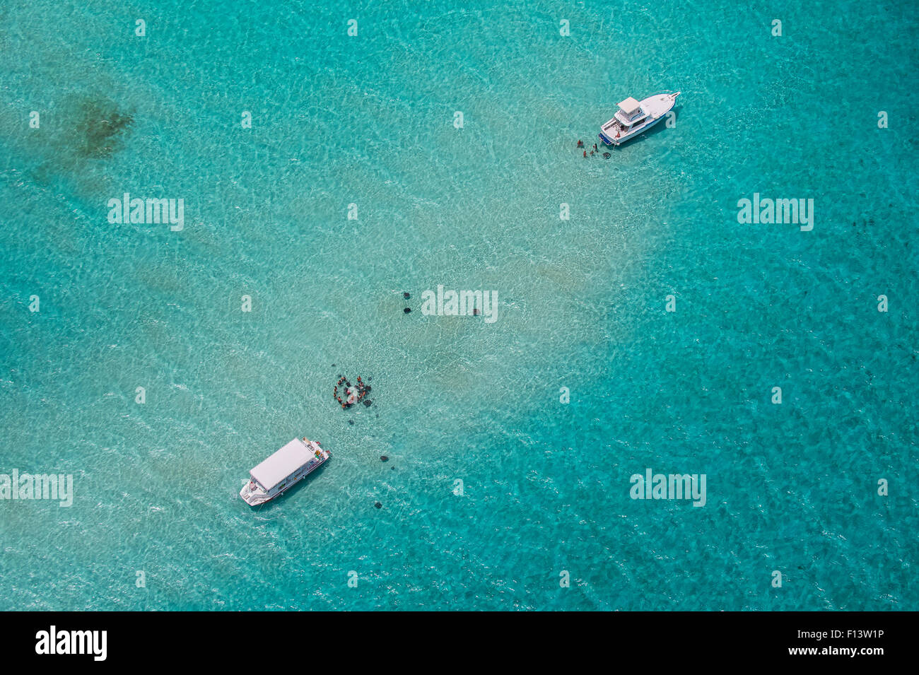 Aerial view of Stingray City, Grand Cayman. Stingray City is feeding ...