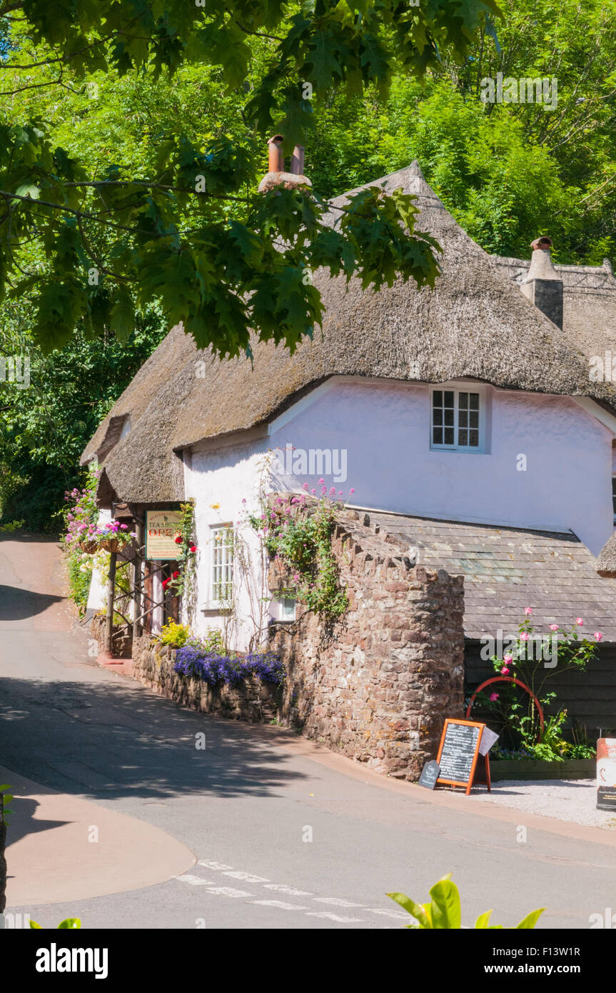 Cockington village hi-res stock photography and images - Alamy