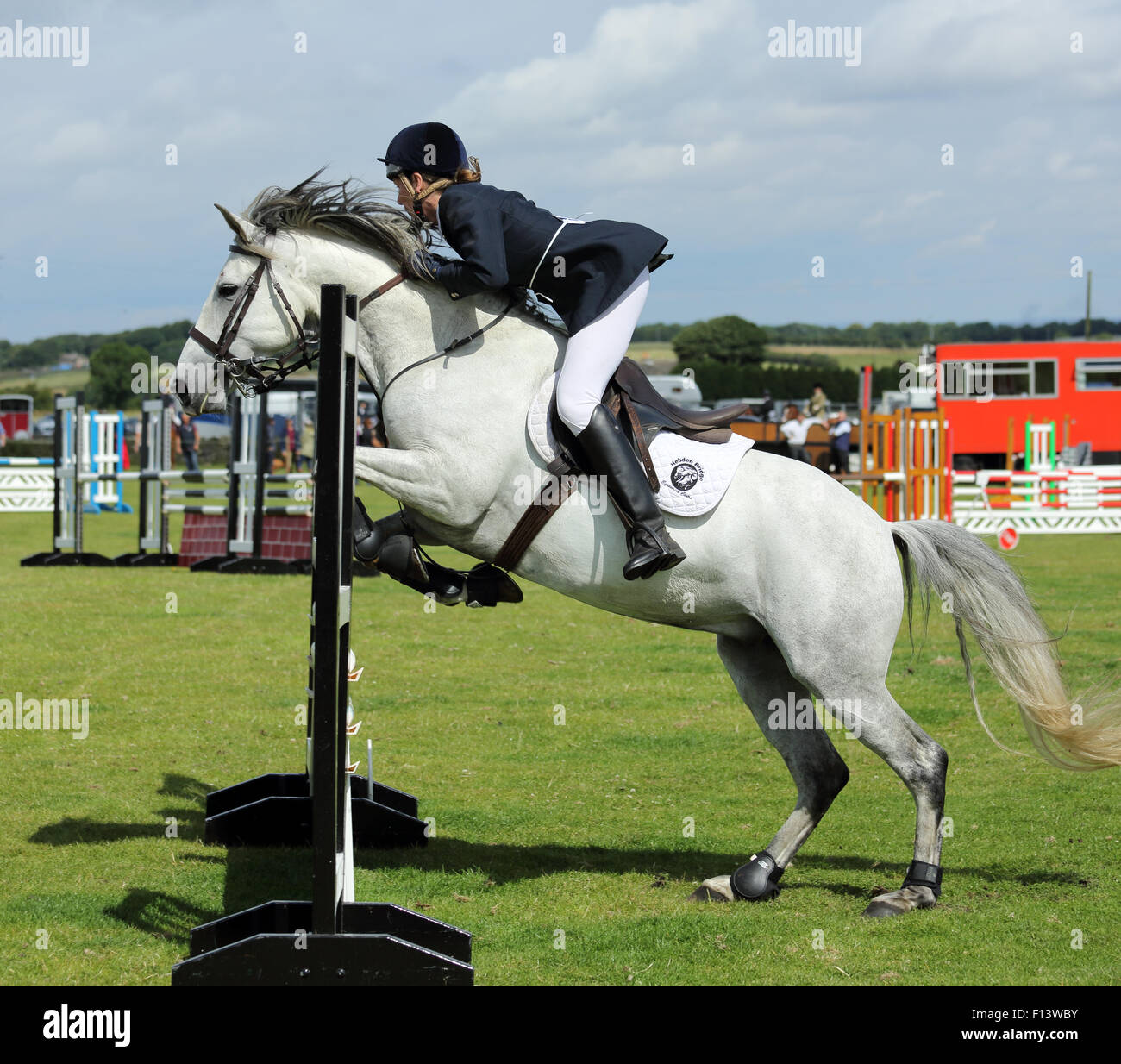 Show jump fence hi-res stock photography and images - Alamy