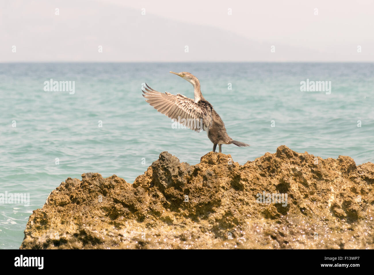 Shaking rock hi-res stock photography and images - Alamy