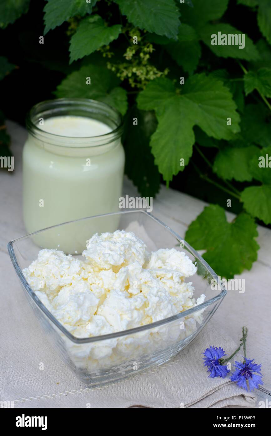 Curd and jar of milk Stock Photo - Alamy