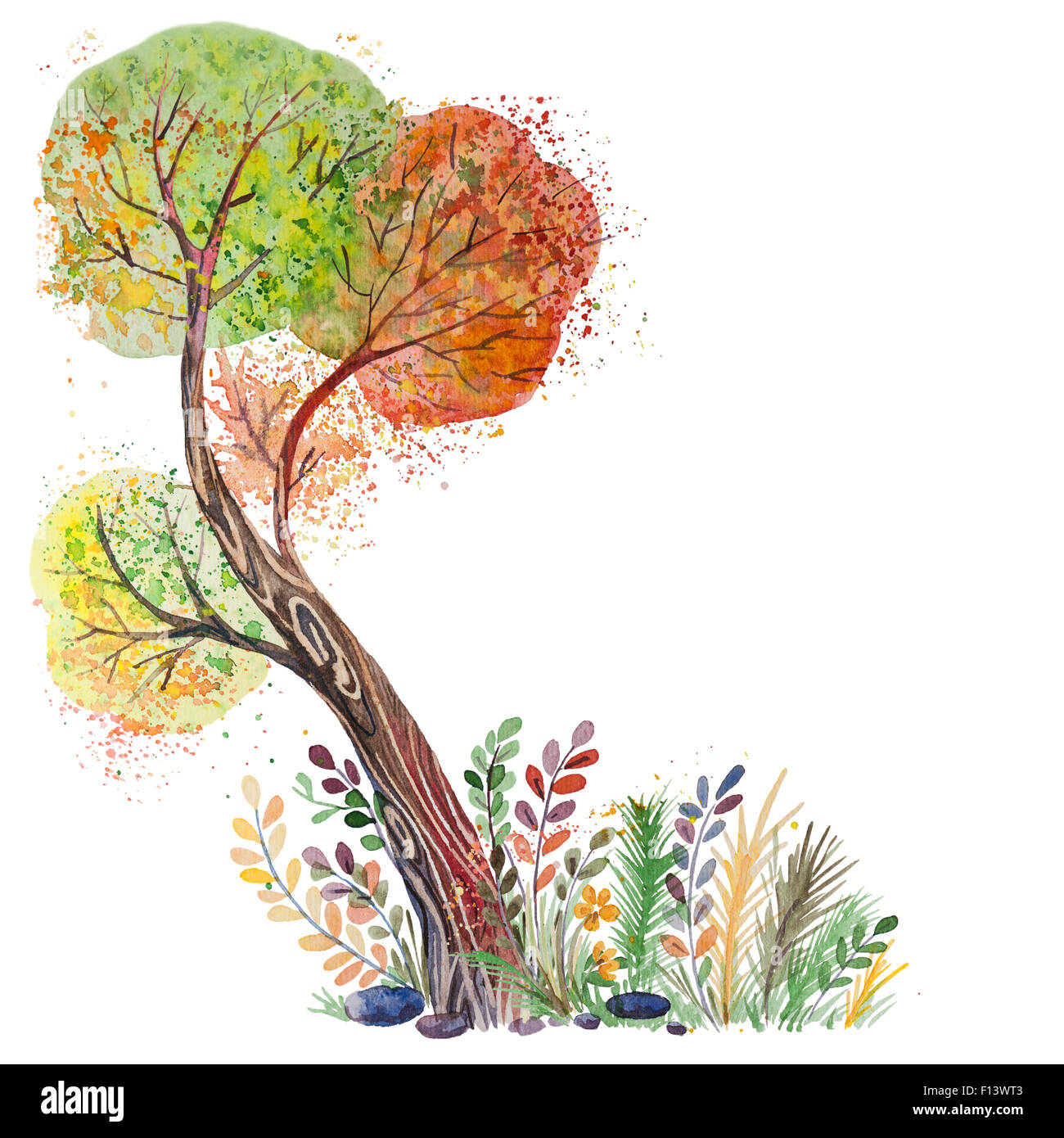 Beautiful autumn forest tree Cut Out Stock Images & Pictures - Alamy