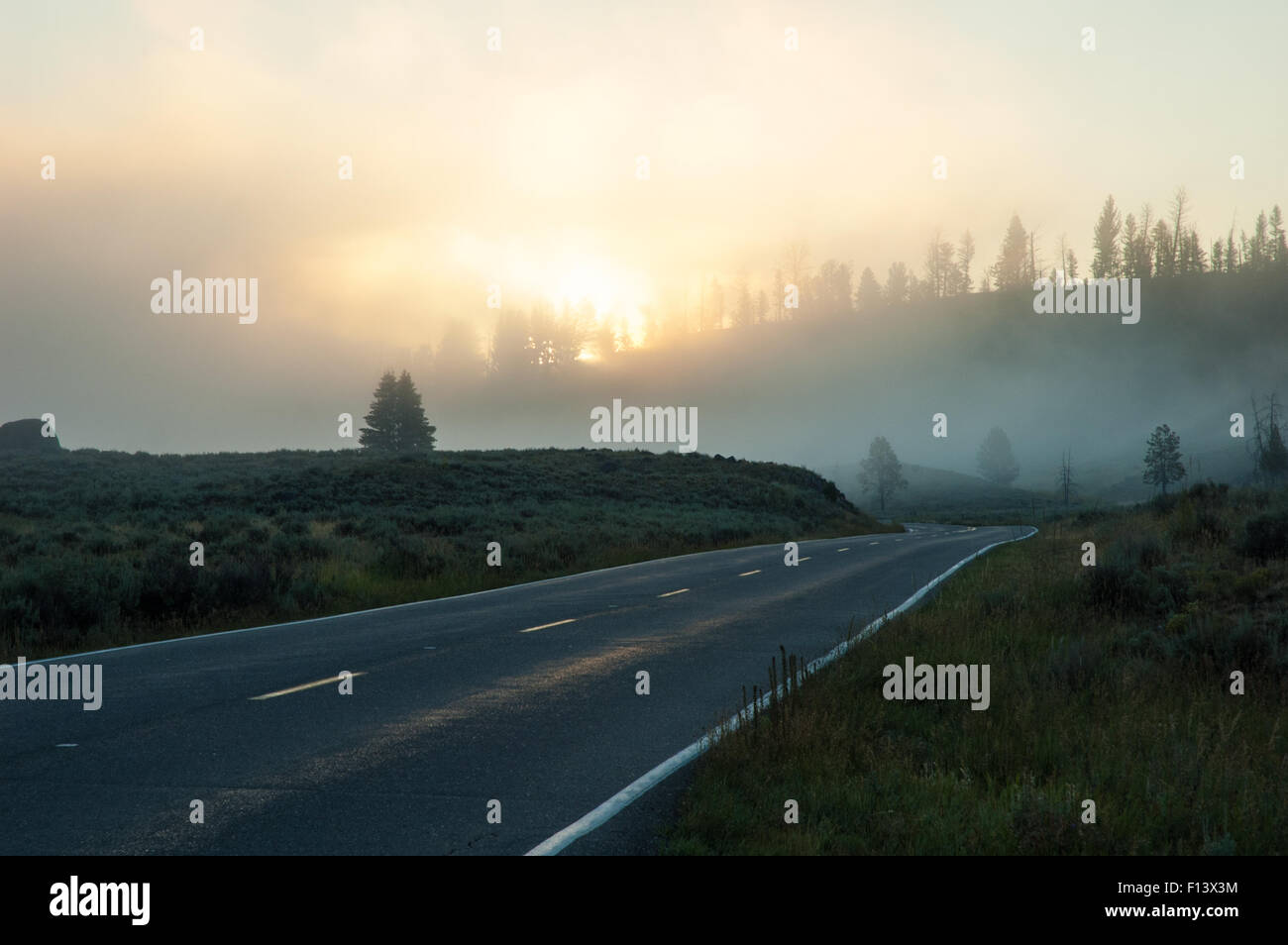 Road at sunrise with mist and fog Stock Photo - Alamy