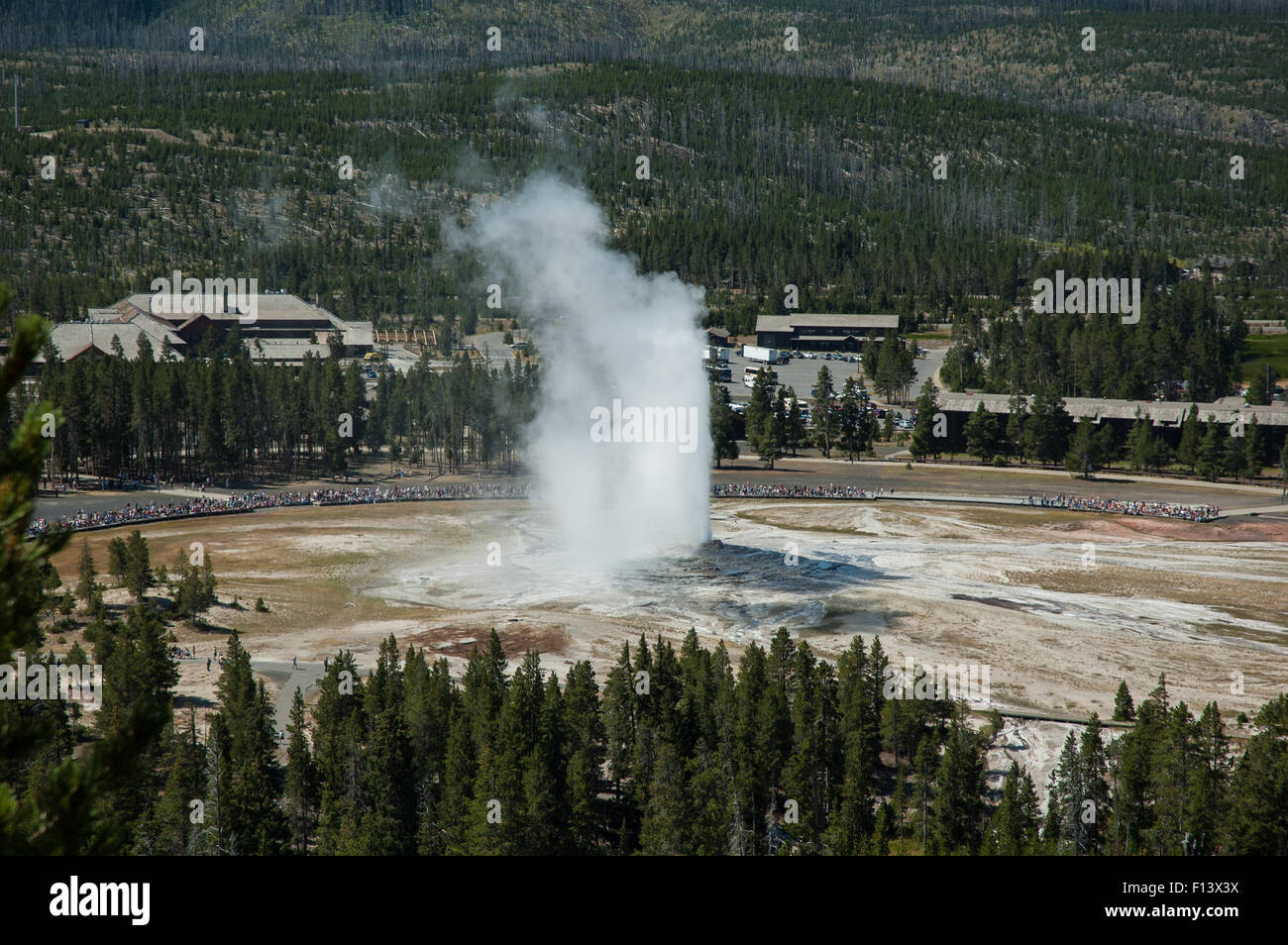 Old Faithful Geyser viewed from above Stock Photo - Alamy