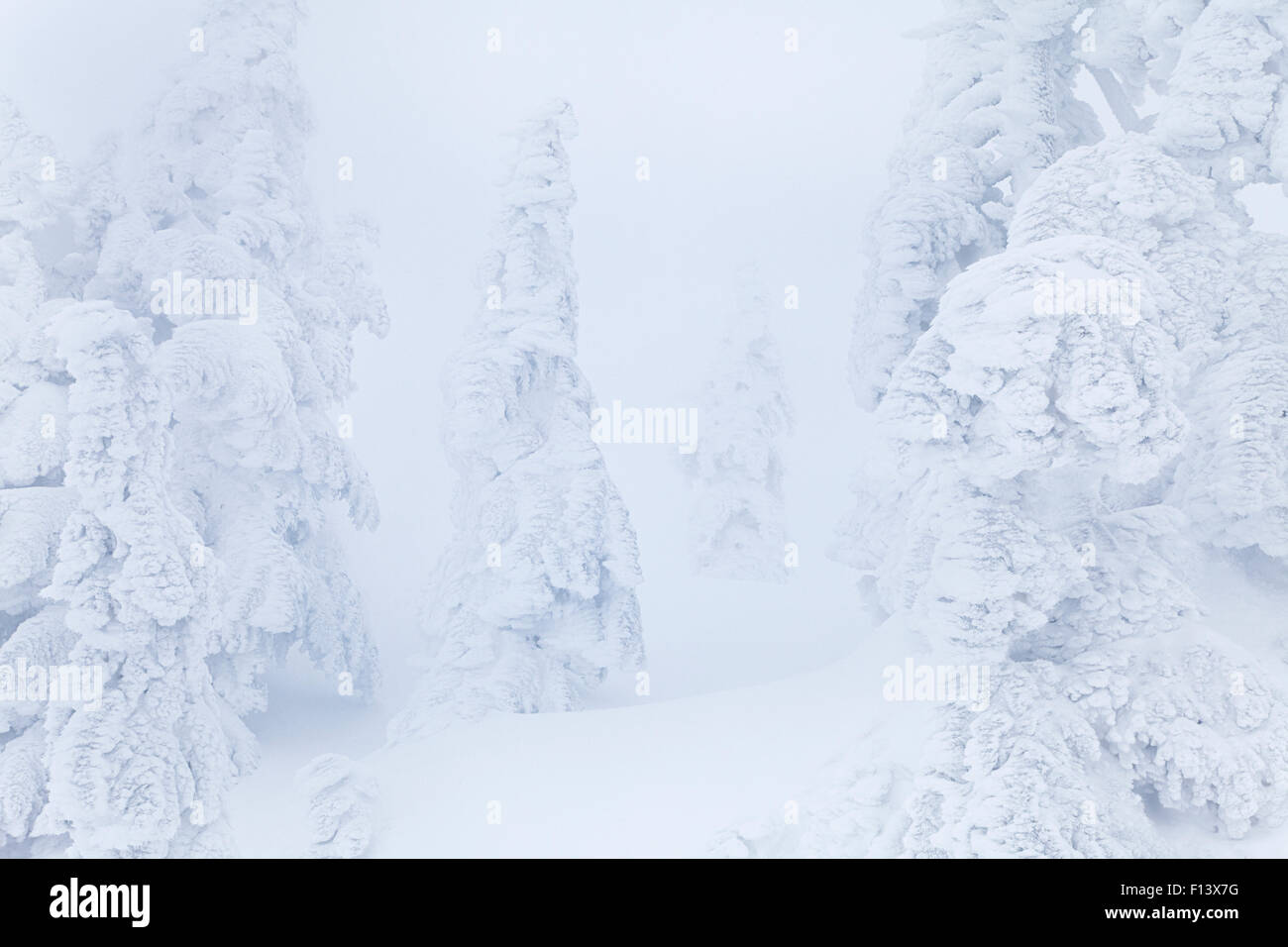 Rime ice hi-res stock photography and images - Alamy