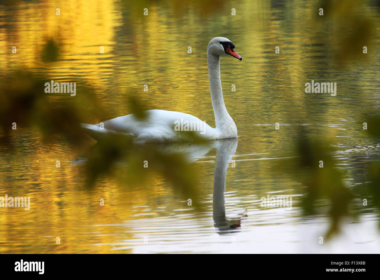 Alone with the nature hi-res stock photography and images - Alamy