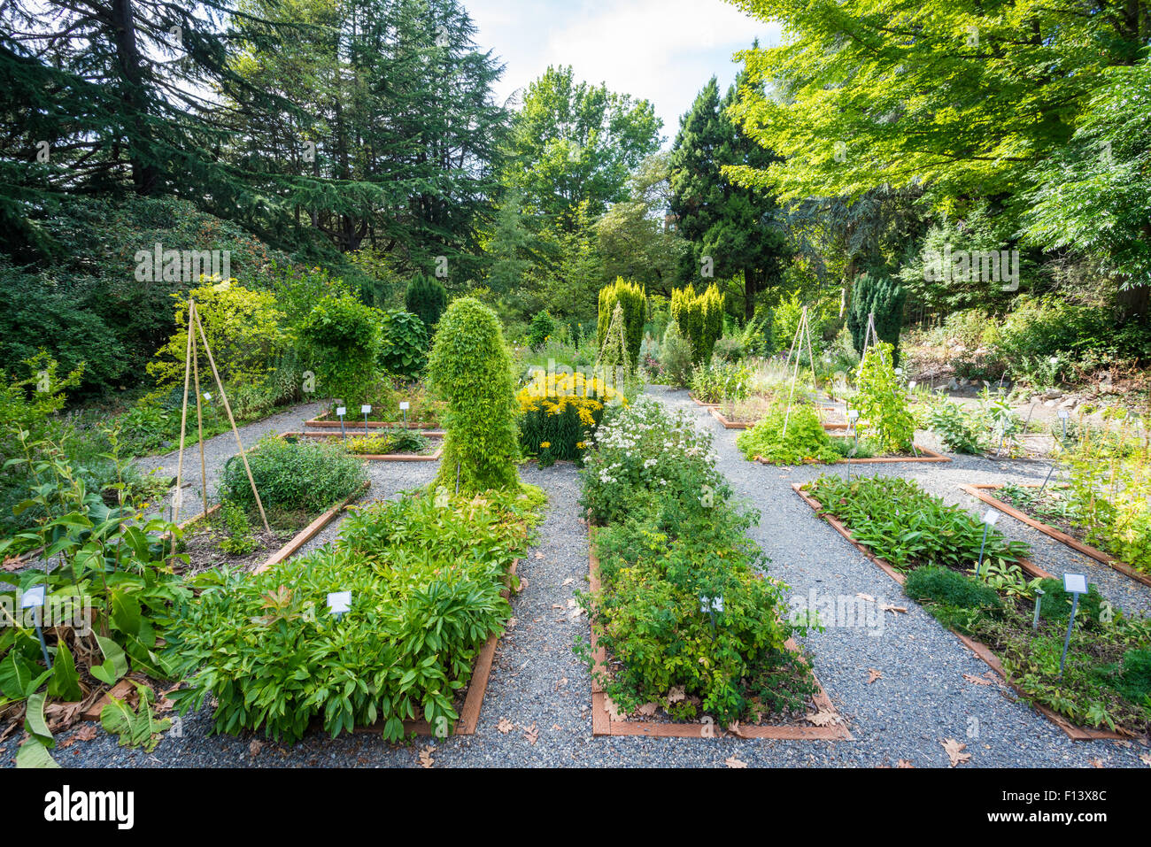 University of Washington campus, Seattle, WA Stock Photo - Alamy
