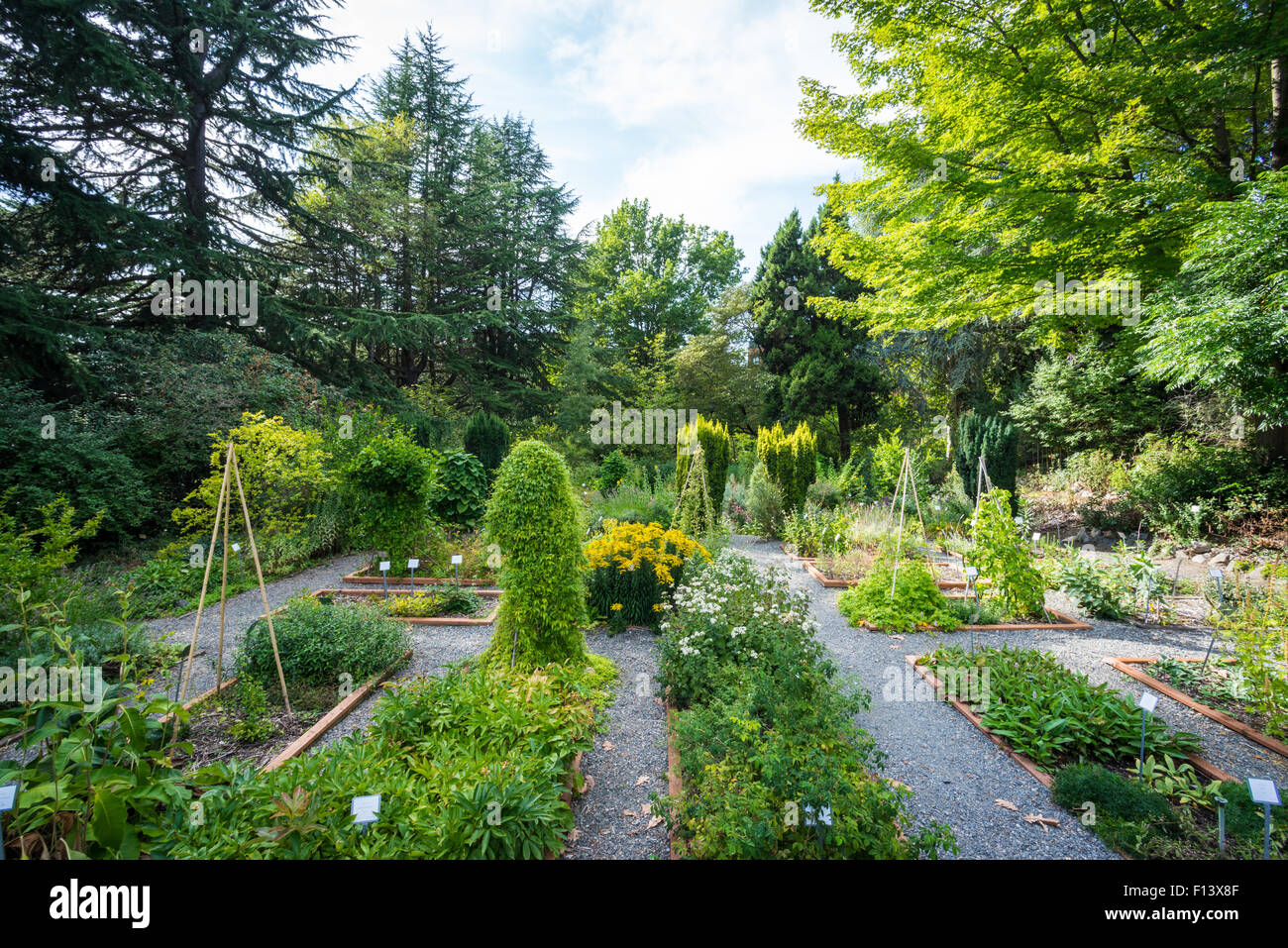 University of Washington campus, Seattle, WA Stock Photo - Alamy