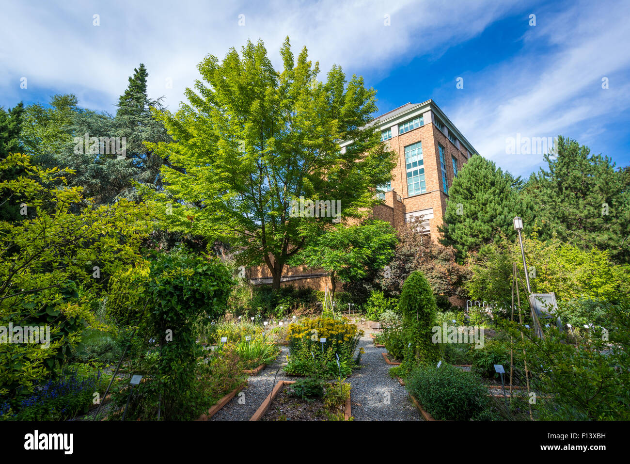 University of Washington campus, Seattle, WA Stock Photo - Alamy