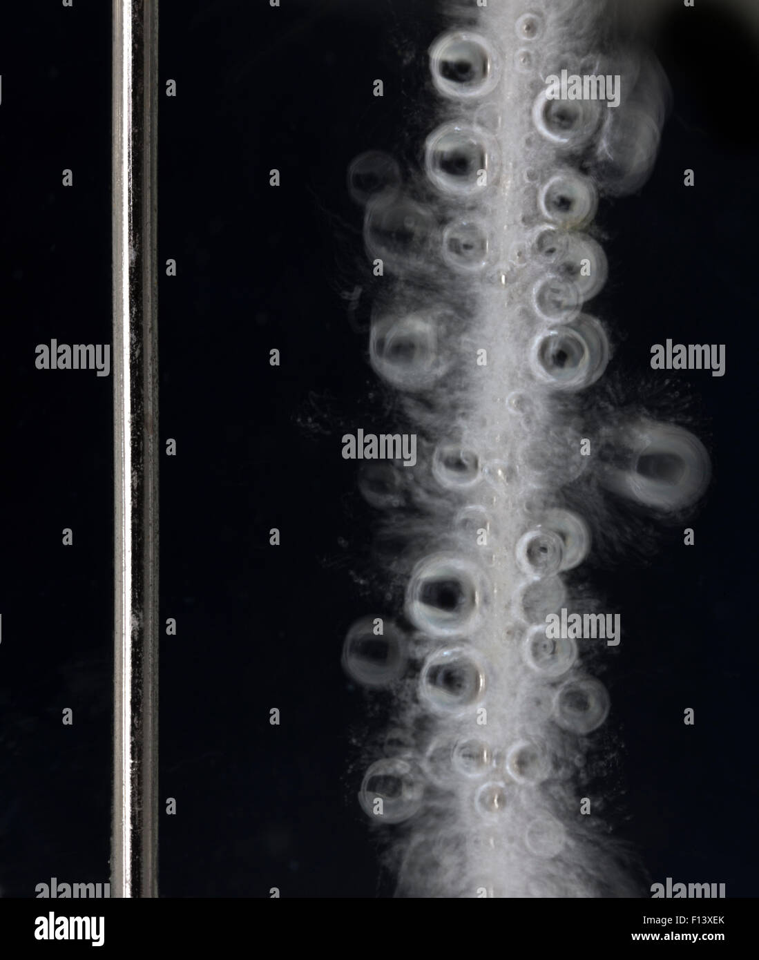 Electrolysis hi-res stock photography and images - Alamy