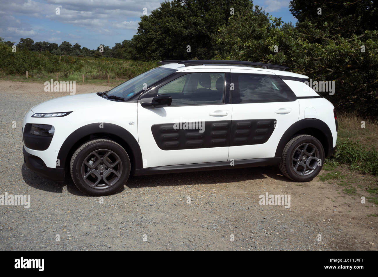 Citroen cactus hi-res stock photography and images - Alamy
