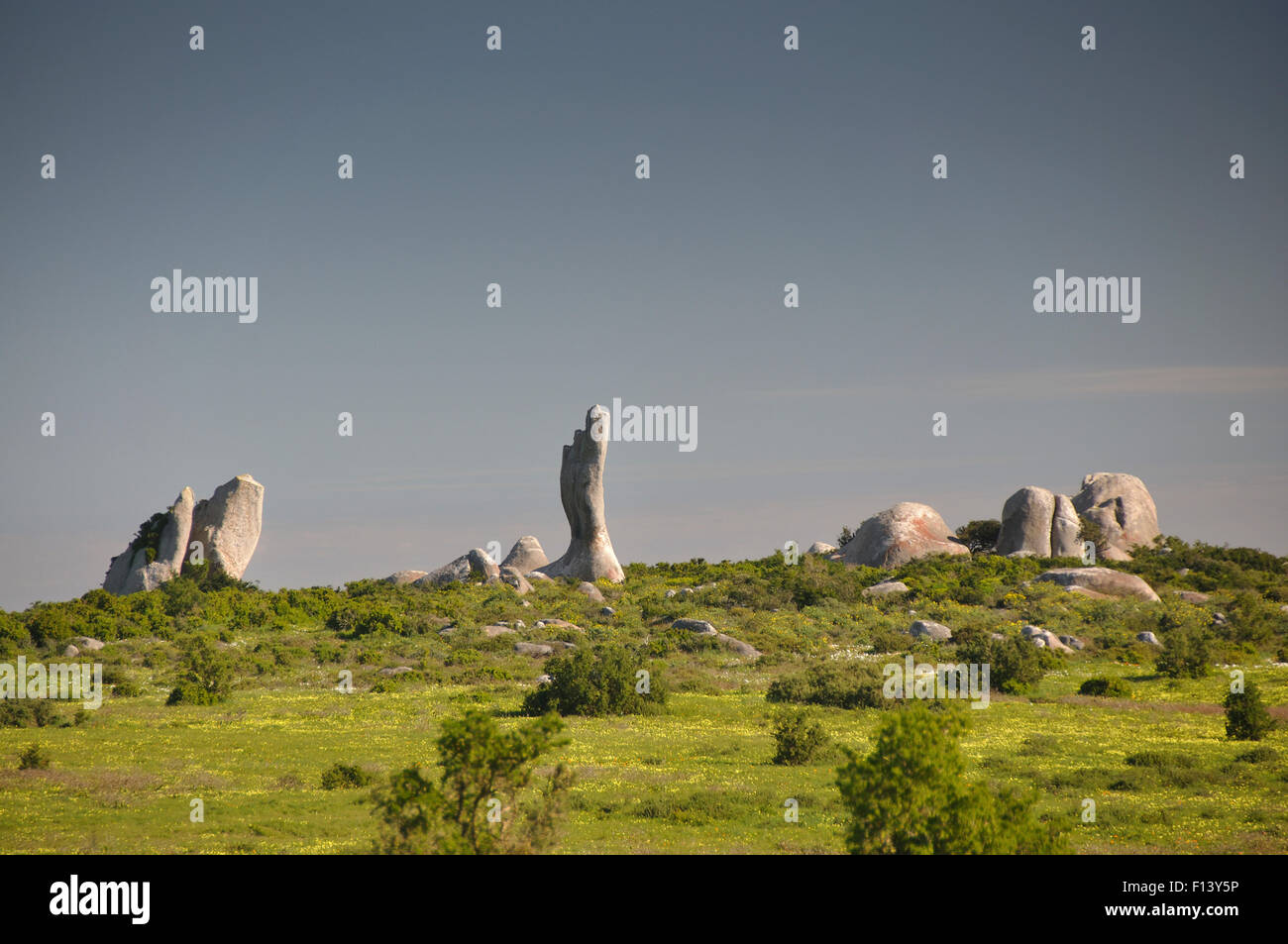 Postberg nature reserve hi-res stock photography and images - Alamy