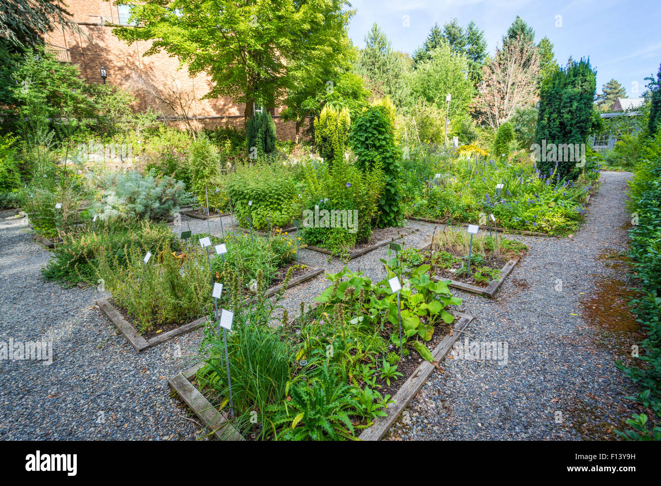 University of Washington campus, Seattle, WA Stock Photo - Alamy