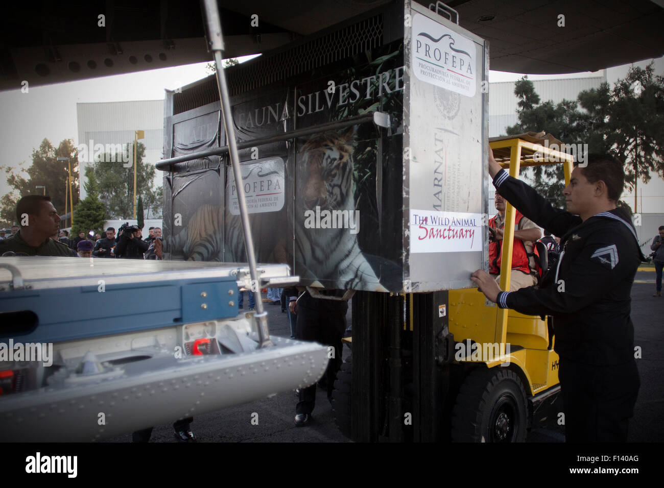 Semar mexico hi-res stock photography and images - Alamy