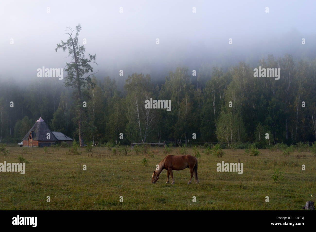 Altay agriculture hi-res stock photography and images - Alamy