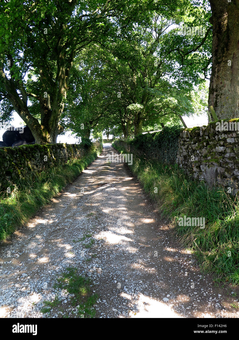 Unmetalled road hi-res stock photography and images - Alamy