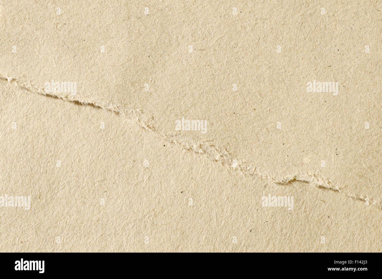 blank torn piece of paper Stock Photo - Alamy