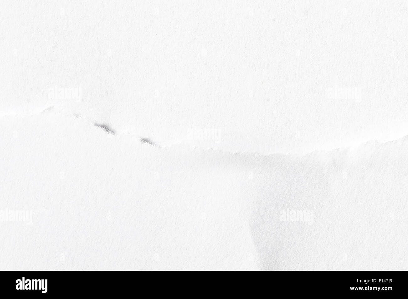 blank torn piece of paper Stock Photo - Alamy