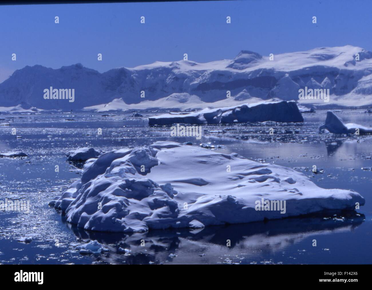 Antarctic Peninsula, Antarctica Stock Photo - Alamy
