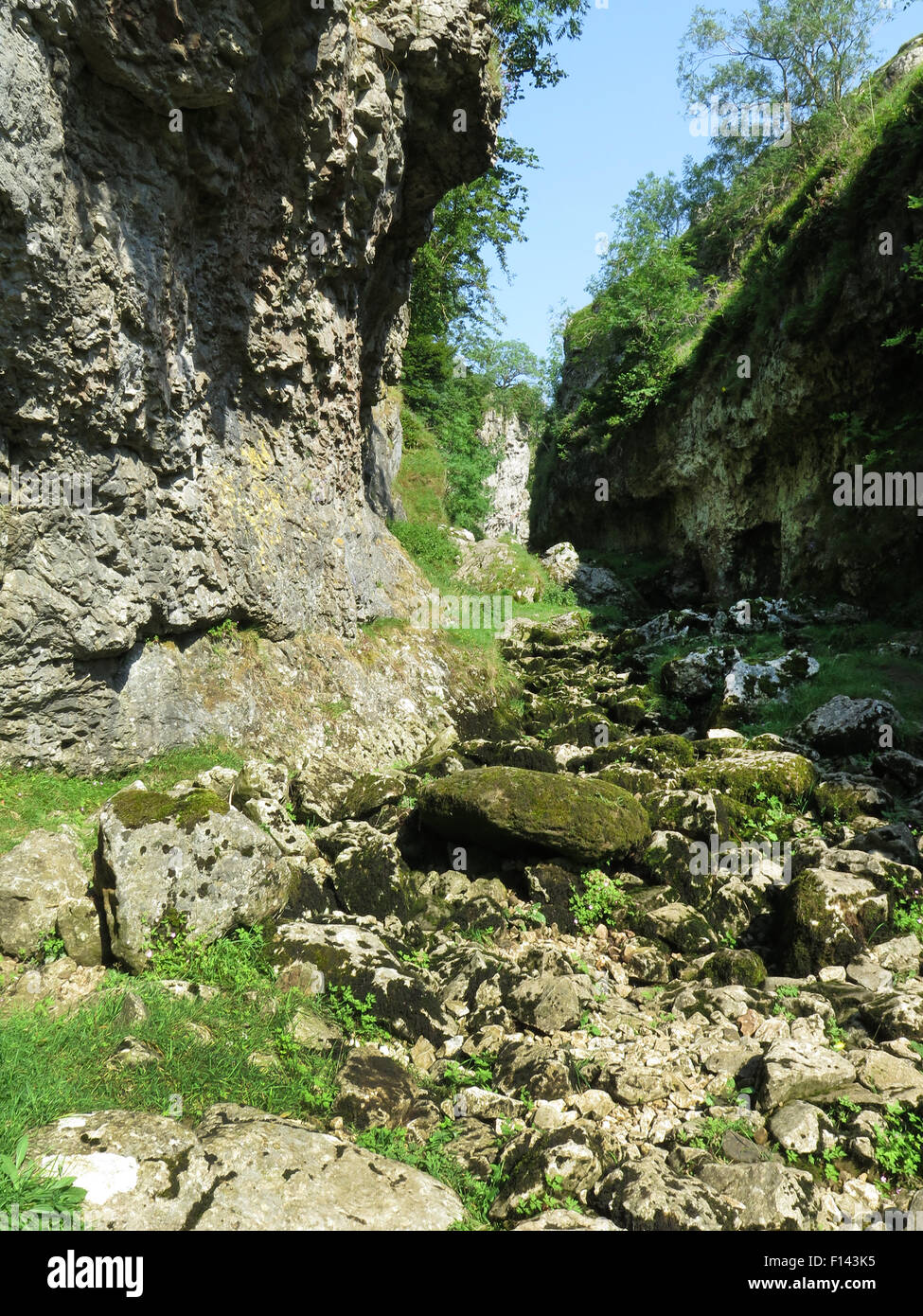 Trollers Gill, Yorkshire Dales Stock Photo - Alamy