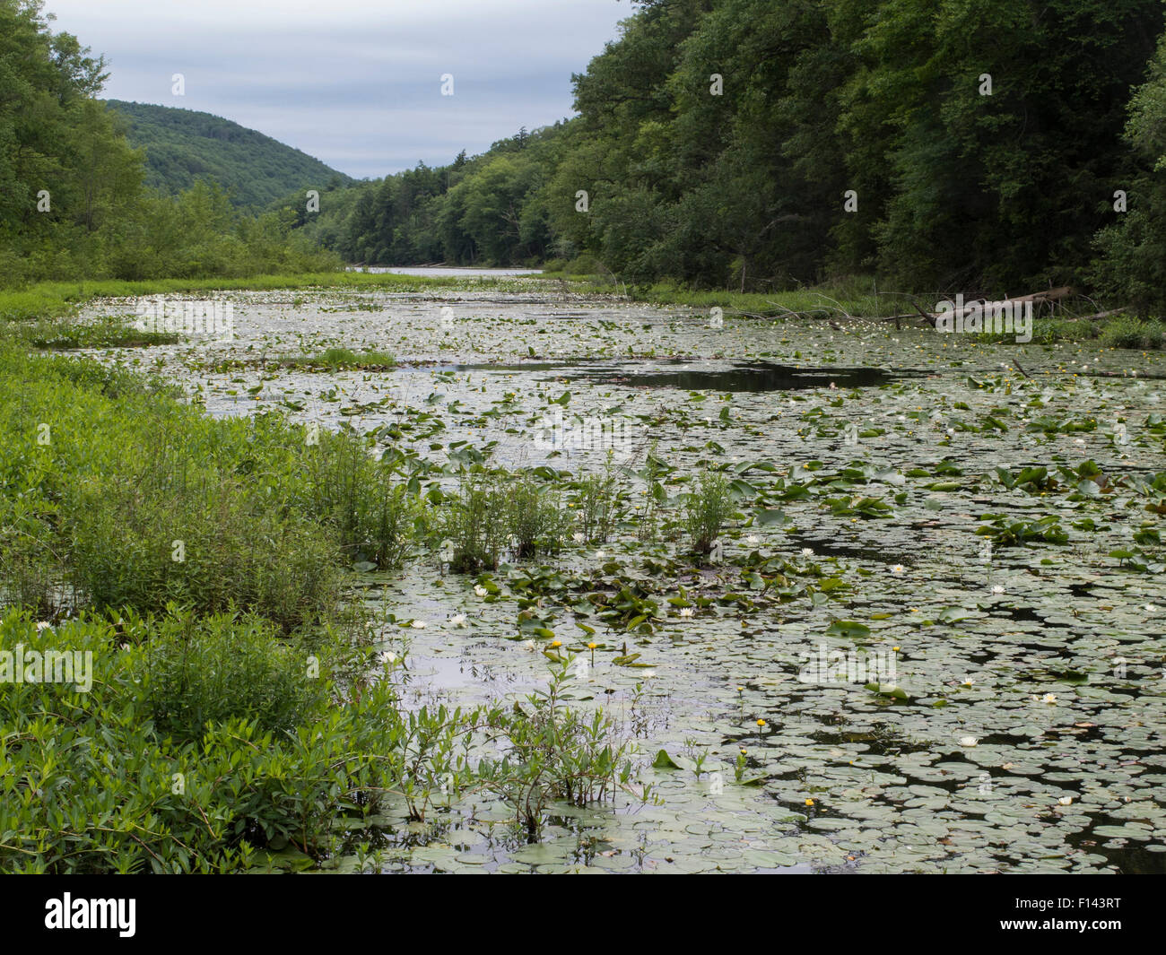 At the center of the Innesfree gardens in Millbrook, New York is a lake ...